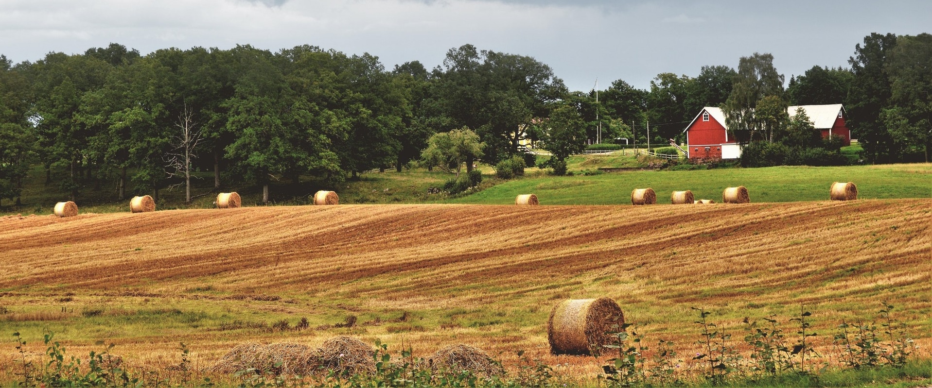 Davidson County | Davidson County