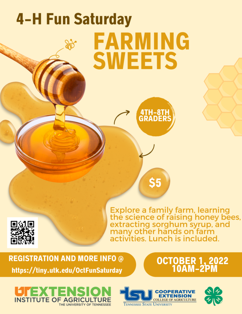 4-H Fun Saturday | Davidson County