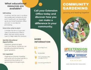 Community Gardening 101 | Davidson County