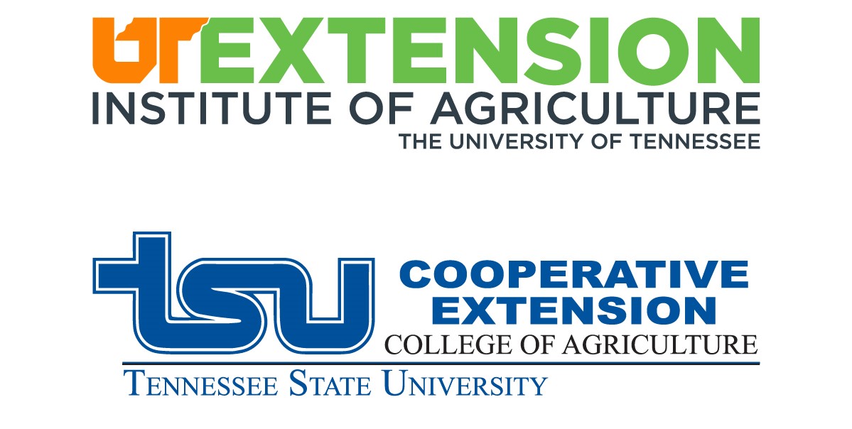 Davidson County | Davidson County