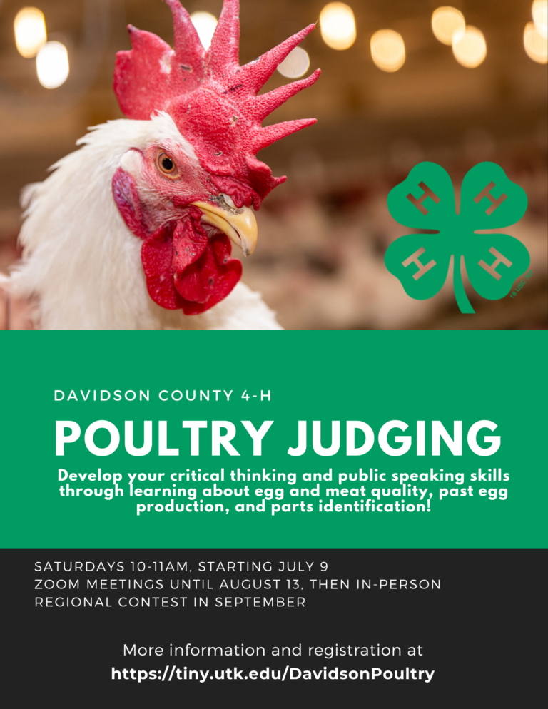 4-H Poultry Judging | Davidson County